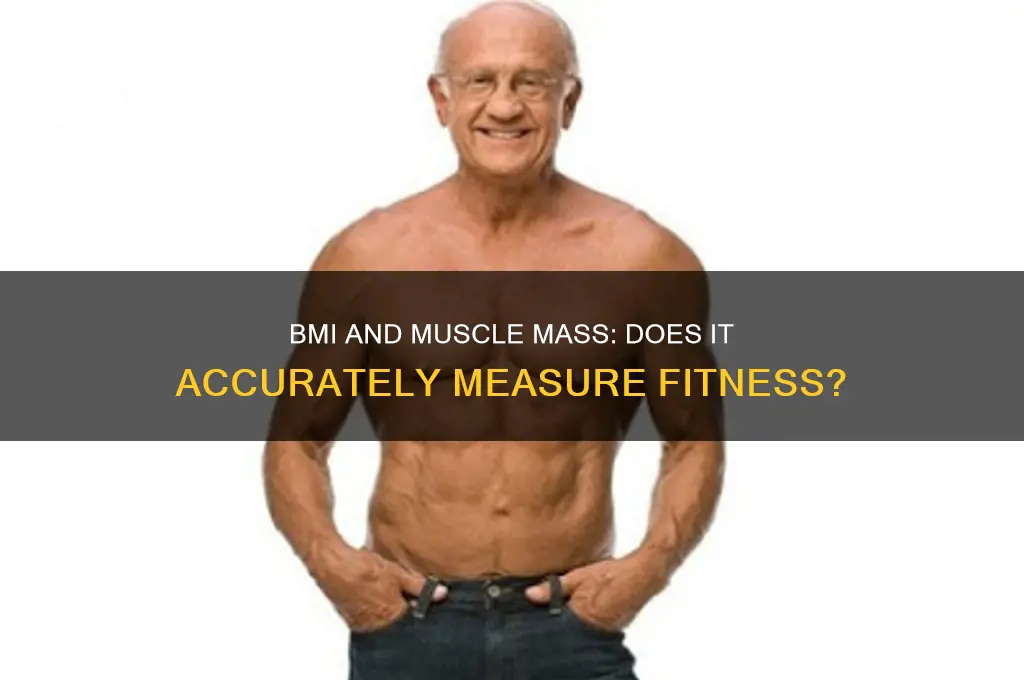 Bmi And Muscle Mass: Does It Accurately Measure Fitness? | CyVigor