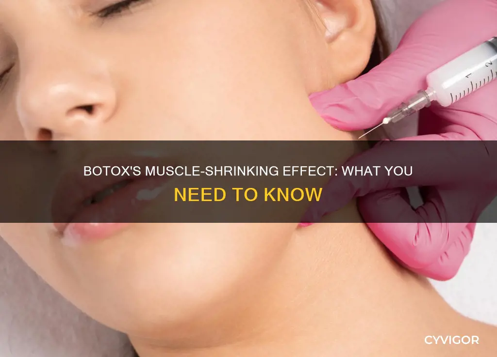 Botox's Muscle-Shrinking Effect: What You Need To Know | CyVigor