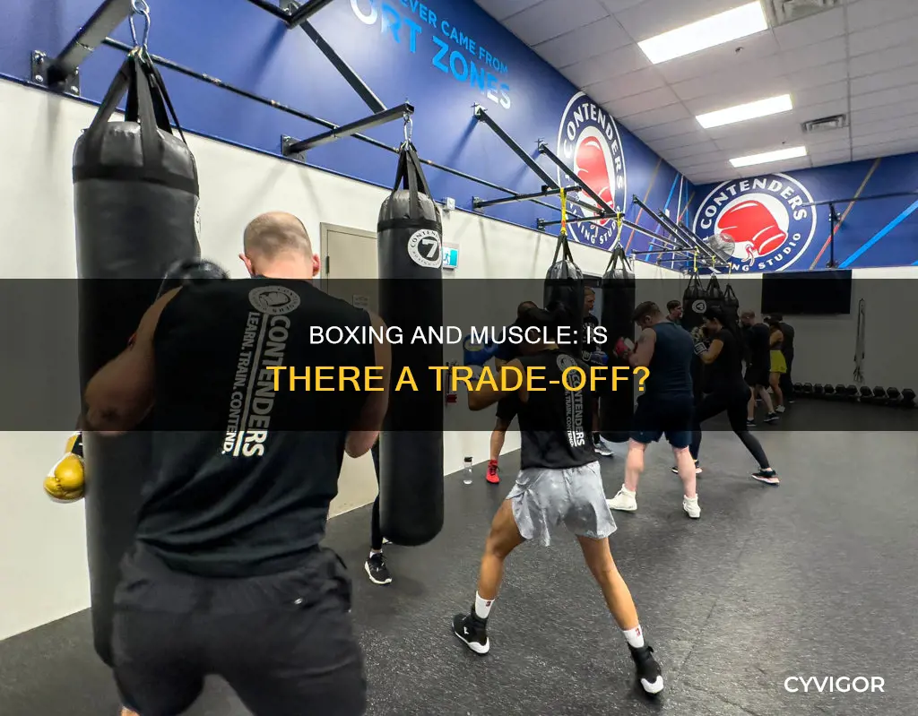 Boxing And Muscle: Is There A Trade-Off? | CyVigor