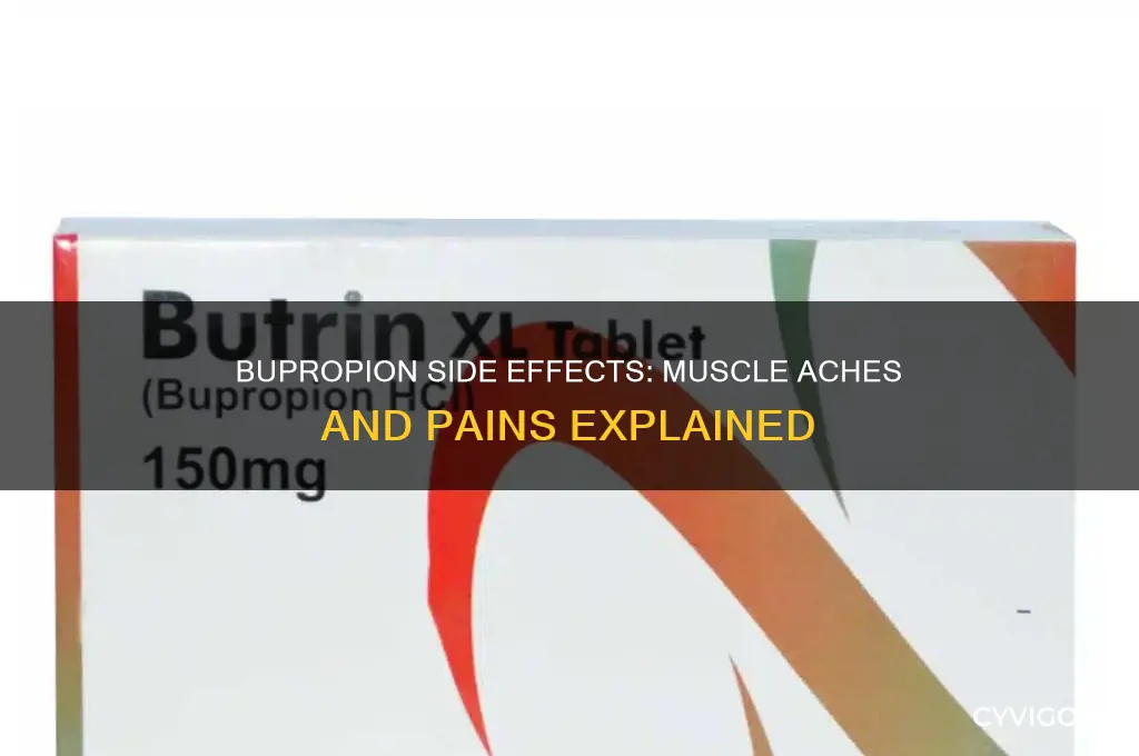 Bupropion Side Effects: Muscle Aches And Pains Explained | CyVigor