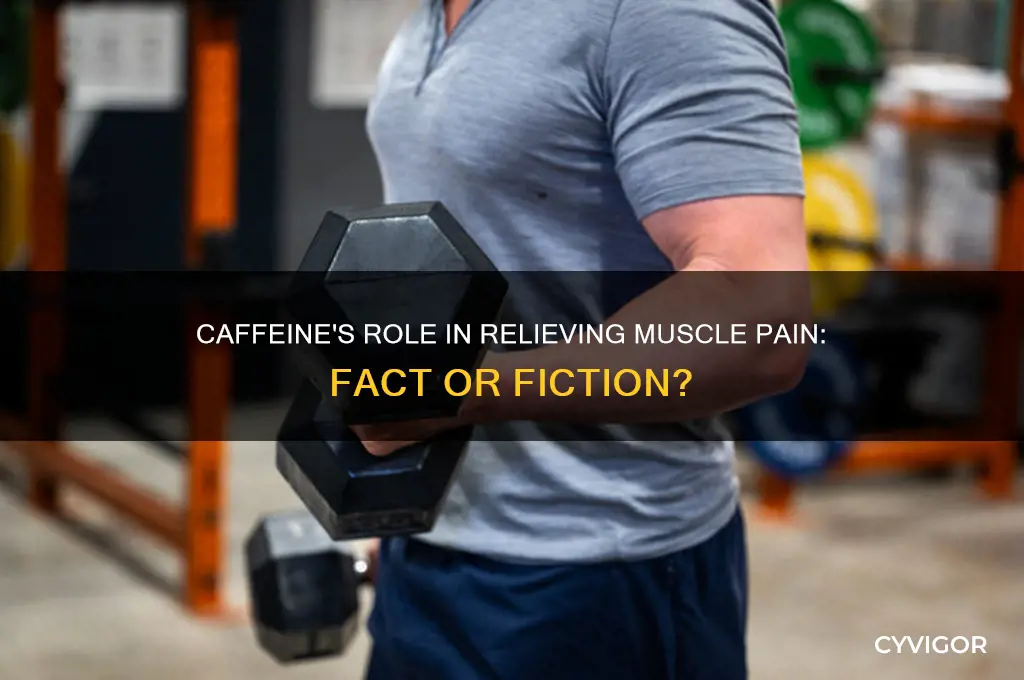 Caffeine's Role In Relieving Muscle Pain: Fact Or Fiction? | CyVigor