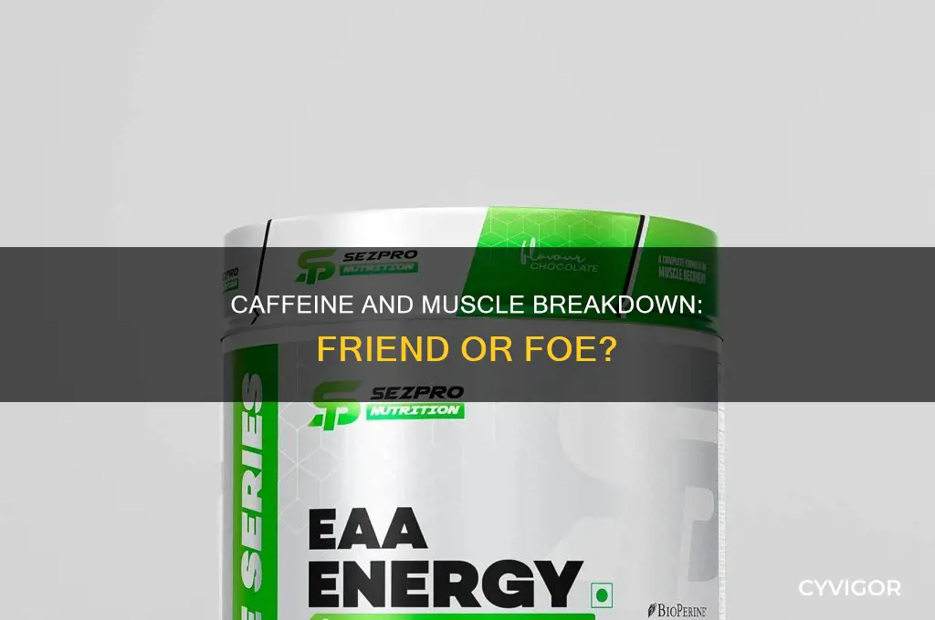 Caffeine And Muscle Breakdown: Friend Or Foe? | CyVigor