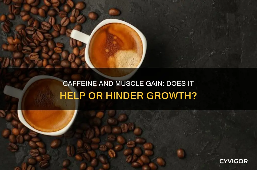 Caffeine And Muscle Gain: Does It Help Or Hinder Growth? | CyVigor