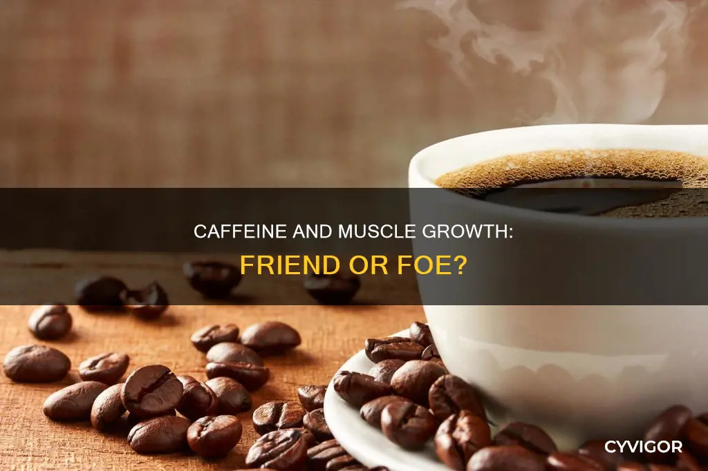 Caffeine And Muscle Growth: Friend Or Foe? | CyVigor