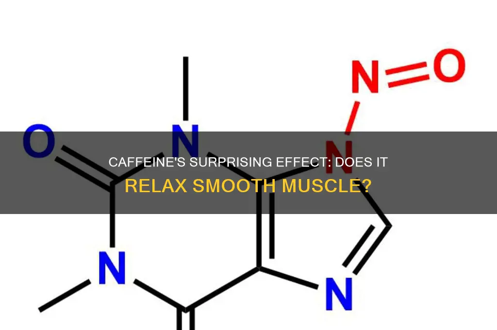 Caffeine's Surprising Effect: Does It Relax Smooth Muscle? | CyVigor