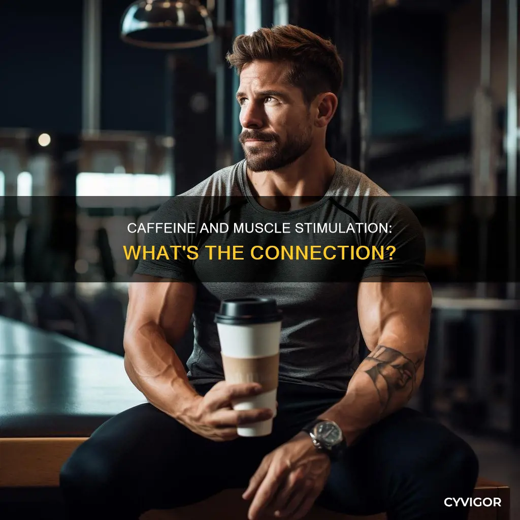 Caffeine And Muscle Stimulation: What's The Connection? | CyVigor