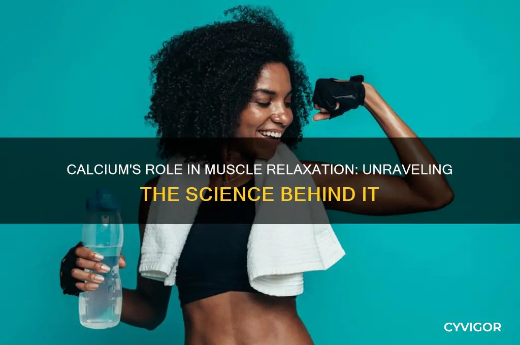 Calcium's Role In Muscle Relaxation: Unraveling The Science Behind It ...