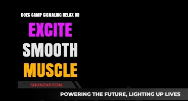 Bronchodilation Explained: How Smooth Muscle Relaxation Opens Airways ...