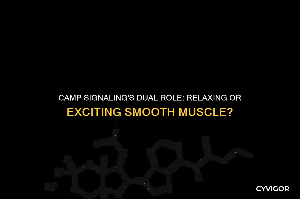 Camp Signaling's Dual Role: Relaxing Or Exciting Smooth Muscle? | CyVigor