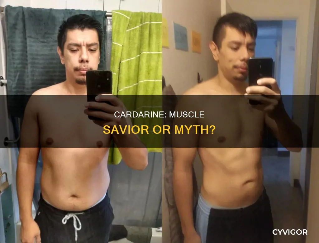 Cardarine: Muscle Savior Or Myth? | CyVigor
