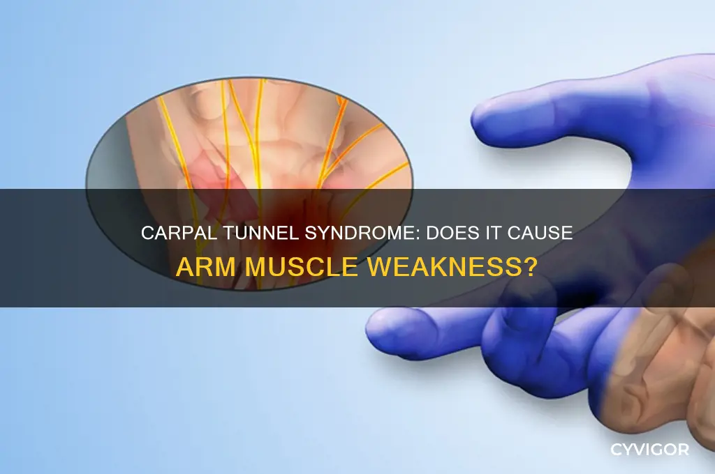 Carpal Tunnel Syndrome: Does It Cause Arm Muscle Weakness? | CyVigor