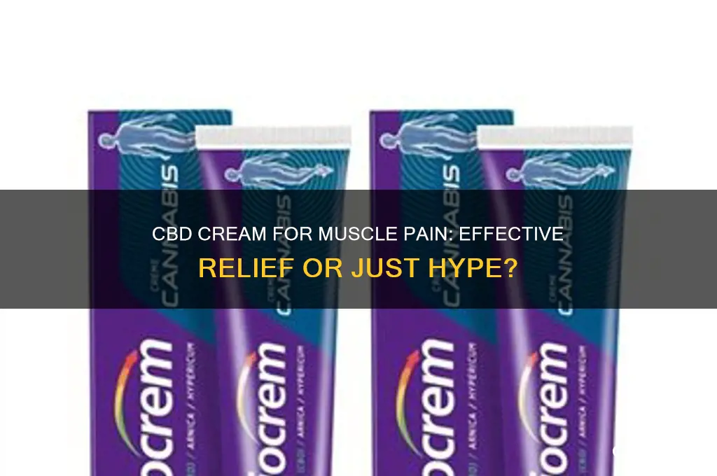 Cbd Cream For Muscle Pain: Effective Relief Or Just Hype? | CyVigor