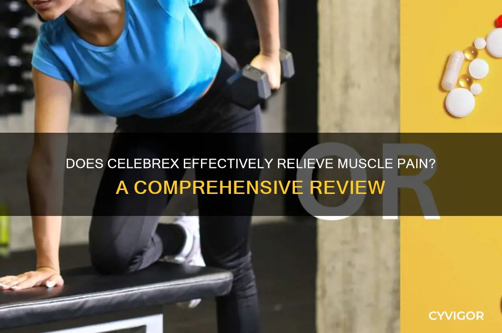 Does Celebrex Effectively Relieve Muscle Pain? A Comprehensive Review ...