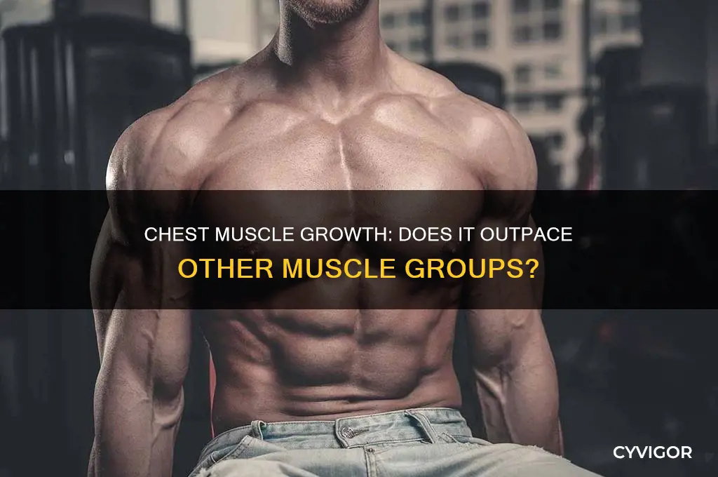 Chest Muscle Growth: Does It Outpace Other Muscle Groups? | CyVigor