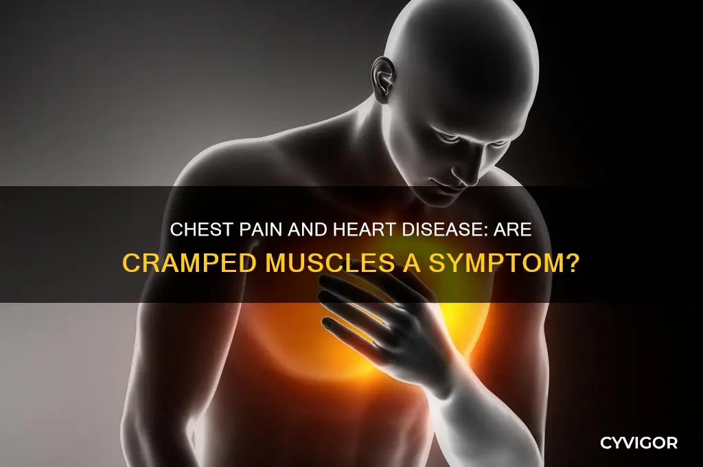 Chest Pain And Heart Disease: Are Cramped Muscles A Symptom? | CyVigor