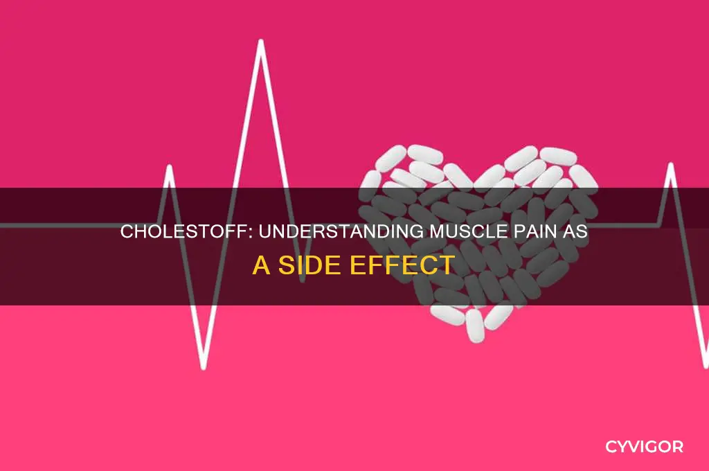Cholestoff: Understanding Muscle Pain As A Side Effect | CyVigor