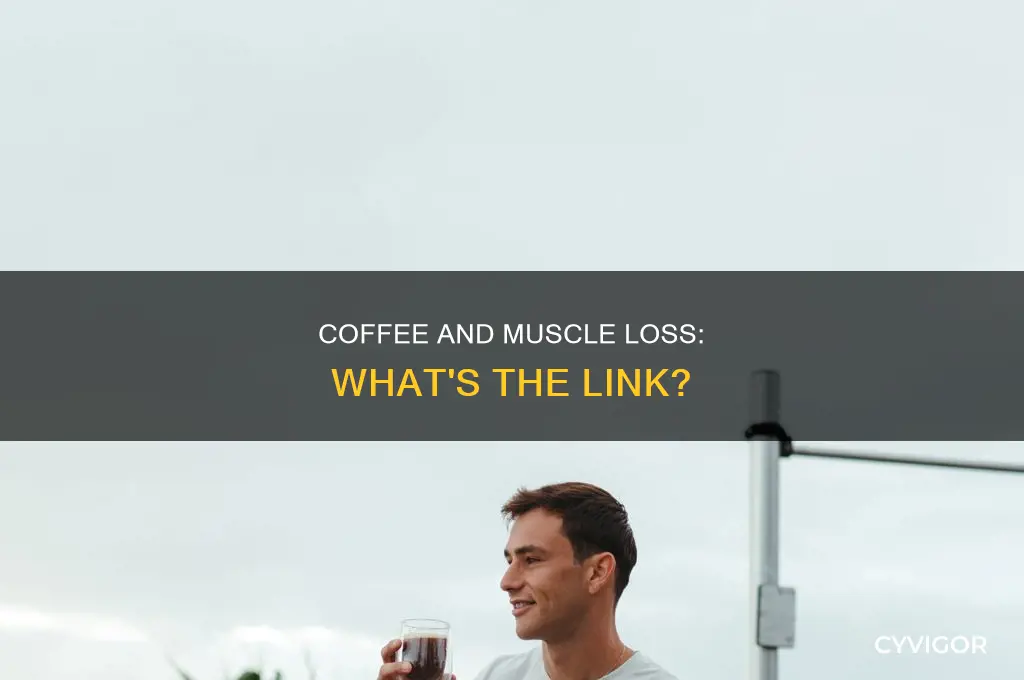 Coffee And Muscle Loss: What's The Link? | CyVigor