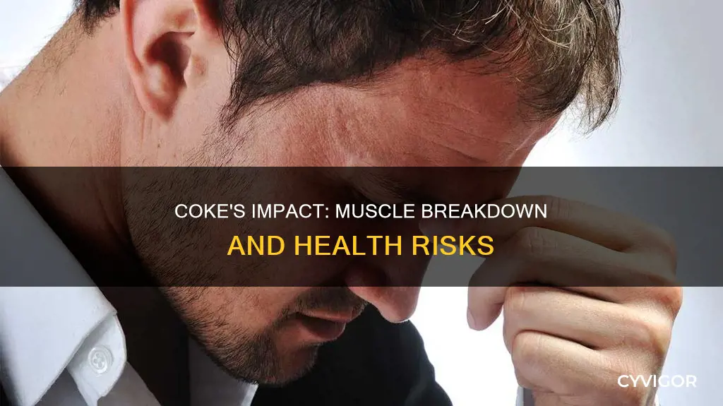 Coke's Impact: Muscle Breakdown And Health Risks | CyVigor