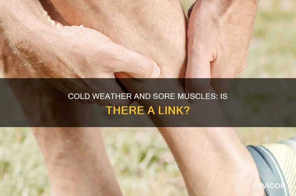 Cold Weather And Sore Muscles: Is There A Link? | CyVigor