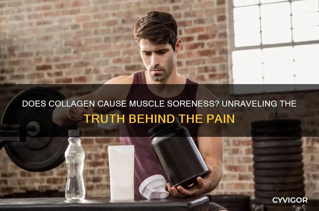 Does Collagen Cause Muscle Soreness? Unraveling The Truth Behind The ...
