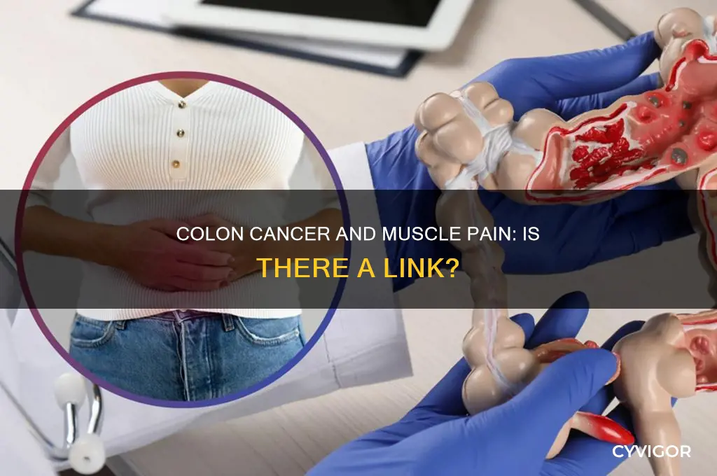 Colon Cancer And Muscle Pain: Is There A Link? | CyVigor