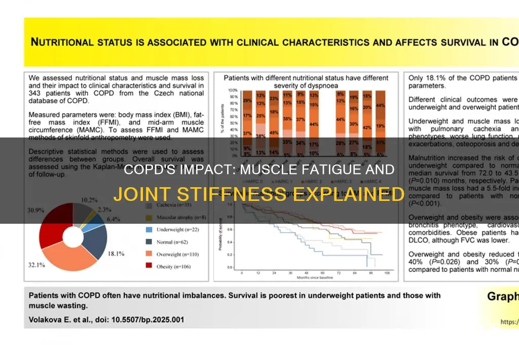 Copd's Impact: Muscle Fatigue And Joint Stiffness Explained | CyVigor