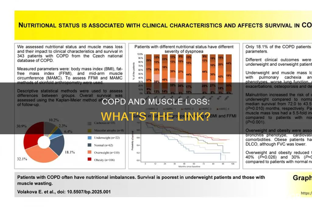 Copd And Muscle Loss: What's The Link? | CyVigor