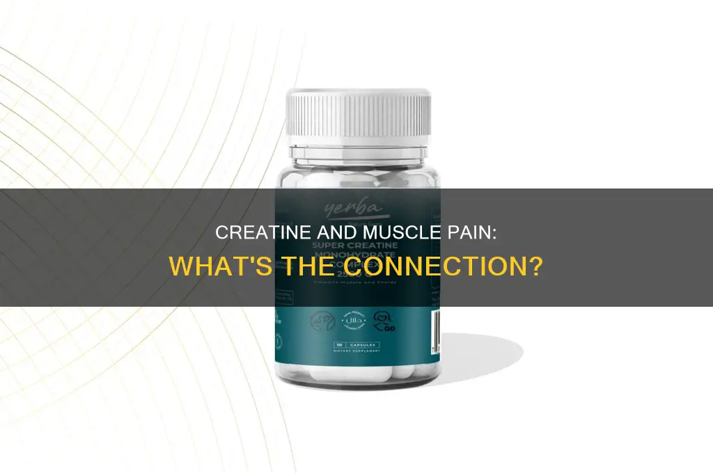 Creatine And Muscle Pain: What's The Connection? | CyVigor