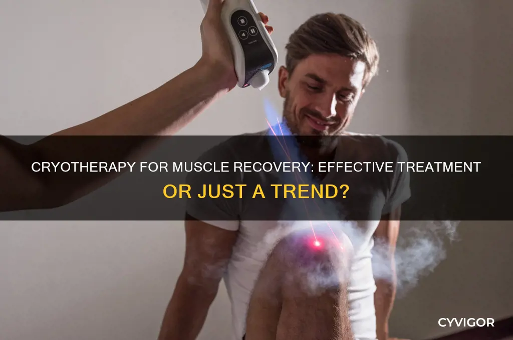Cryotherapy For Muscle Recovery: Effective Treatment Or Just A Trend ...