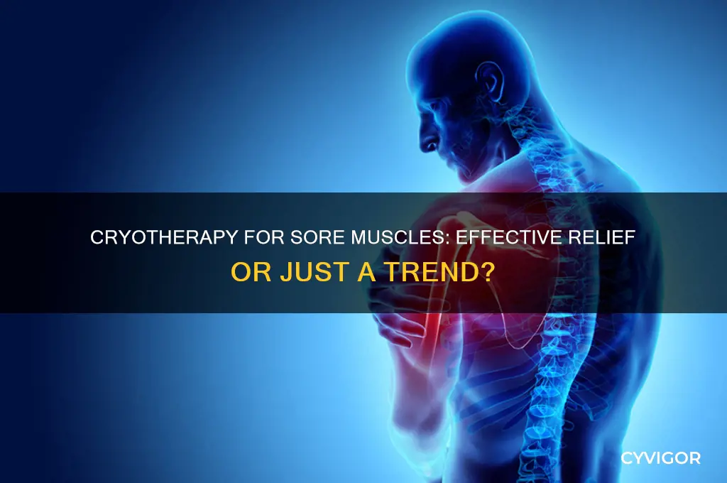 Cryotherapy For Sore Muscles: Effective Relief Or Just A Trend? | CyVigor