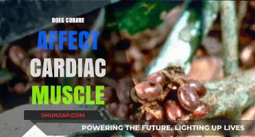 Exploring The Impact Of Crps On Muscle Health And Function | CyVigor