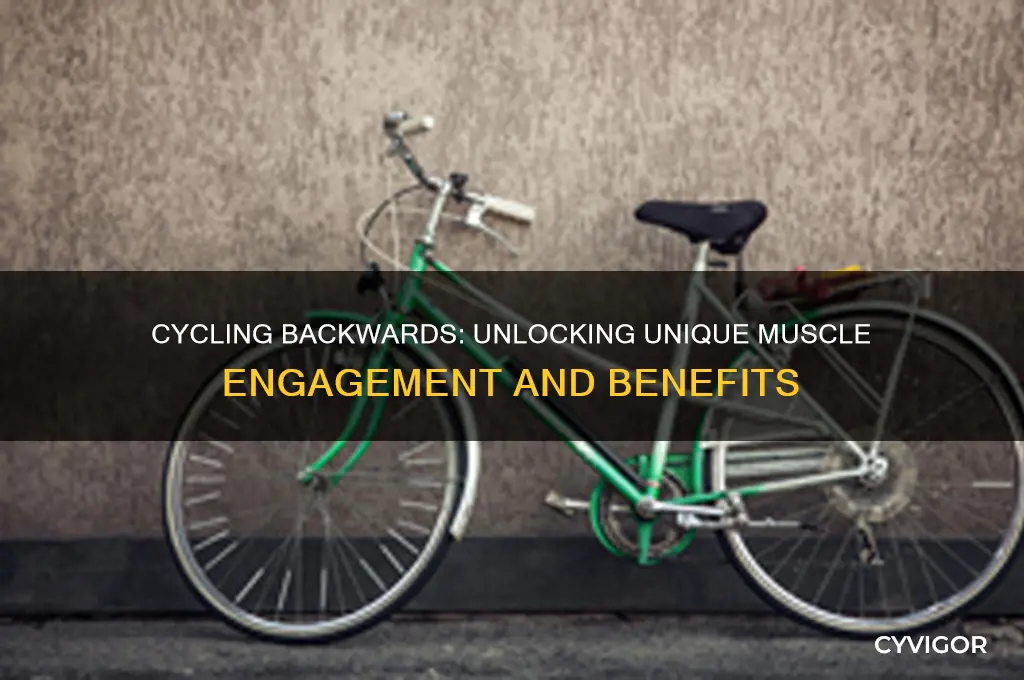 Cycling Backwards: Unlocking Unique Muscle Engagement And Benefits ...
