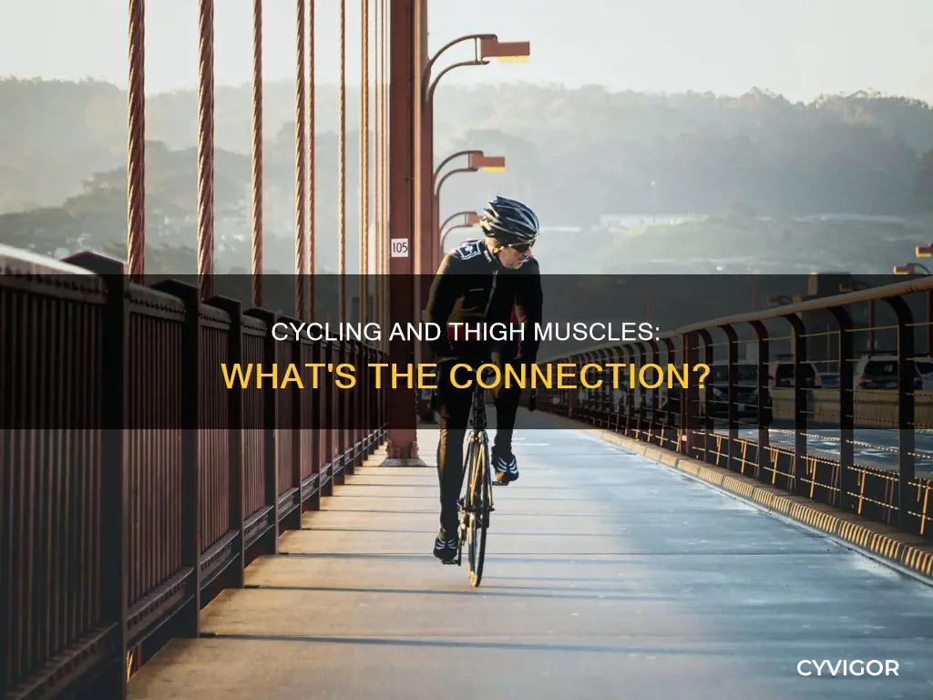 Cycling And Thigh Muscles: What's The Connection? | CyVigor