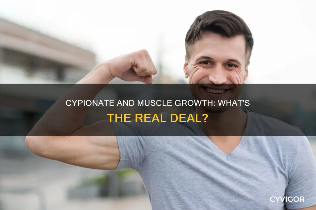 Cypionate And Muscle Growth: What's The Real Deal? | CyVigor
