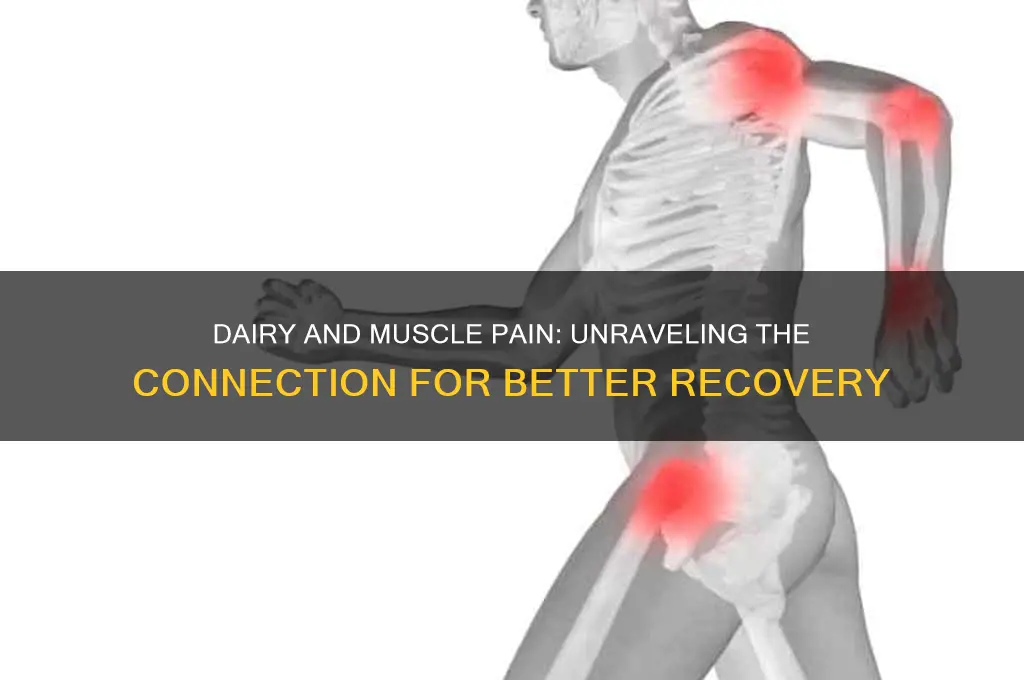 Dairy And Muscle Pain: Unraveling The Connection For Better Recovery ...