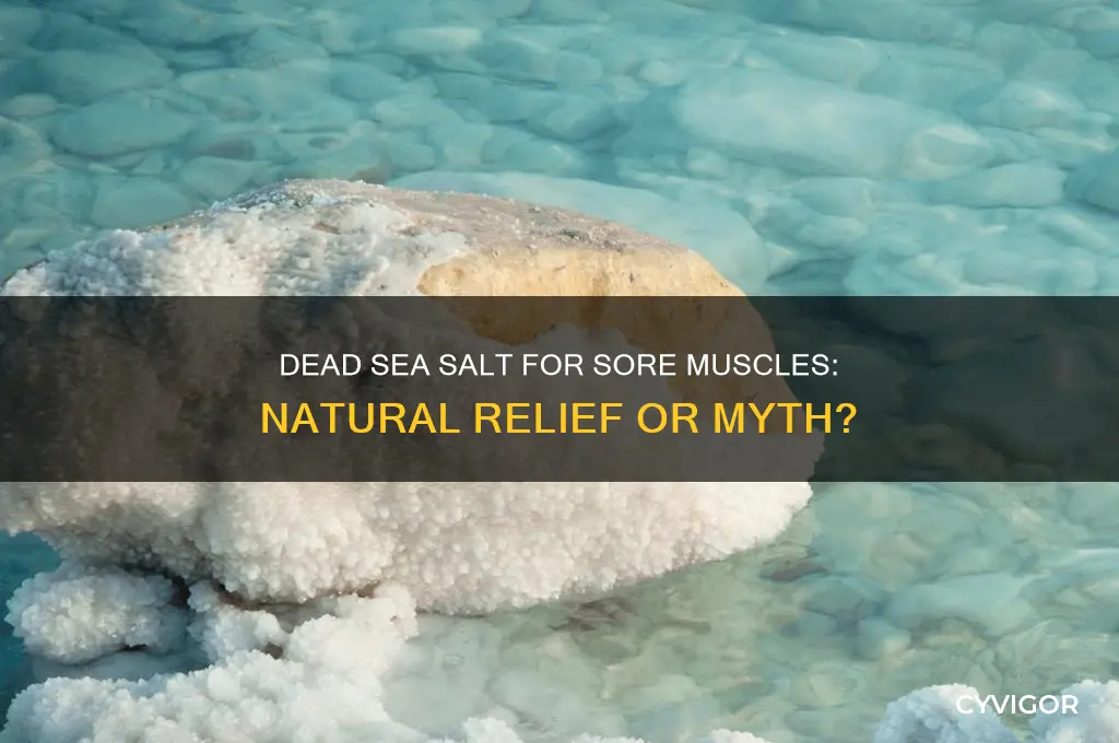 Dead Sea Salt For Sore Muscles: Natural Relief Or Myth? | CyVigor