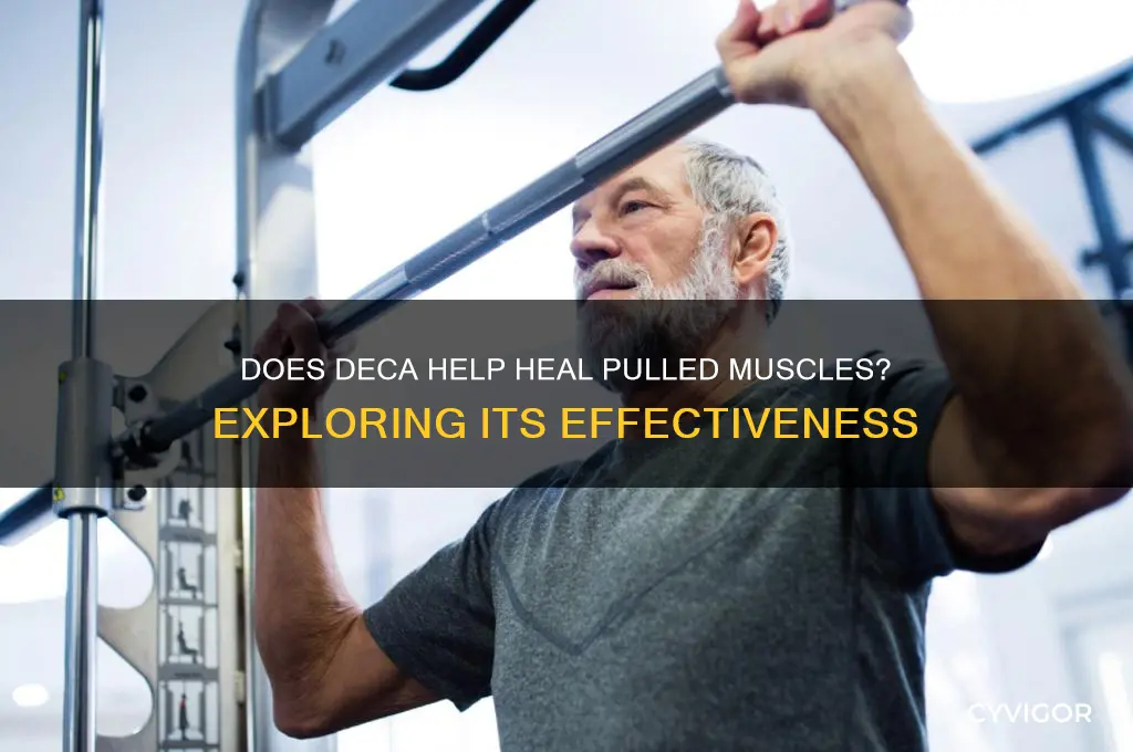 Does Deca Help Heal Pulled Muscles? Exploring Its Effectiveness | CyVigor