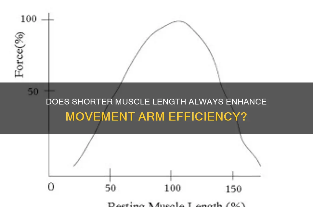Does Shorter Muscle Length Always Enhance Movement Arm Efficiency ...