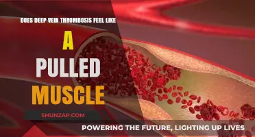 Shoulder Pain Vs. Heart Issue: Is It A Pulled Muscle Or Something More ...