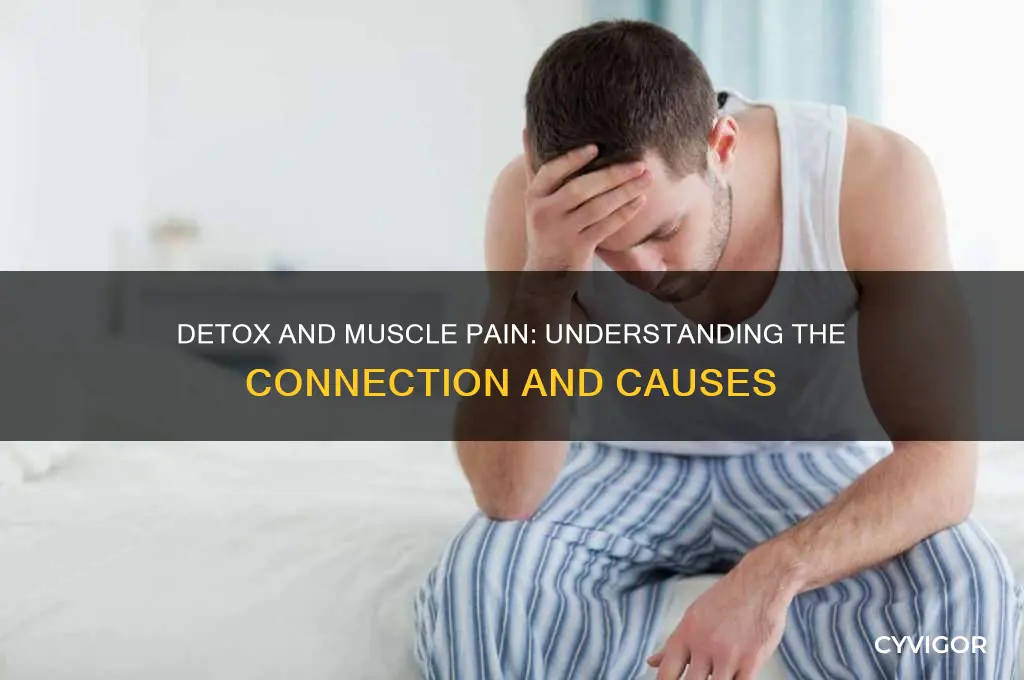 Detox And Muscle Pain: Understanding The Connection And Causes | CyVigor