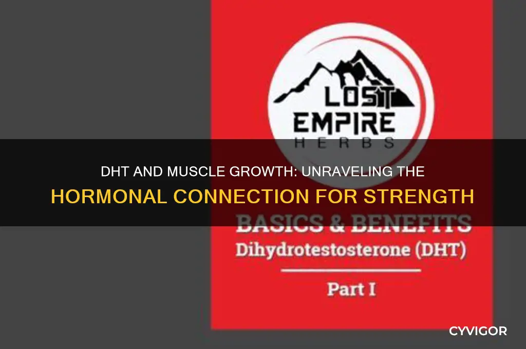 Dht And Muscle Growth: Unraveling The Hormonal Connection For Strength ...