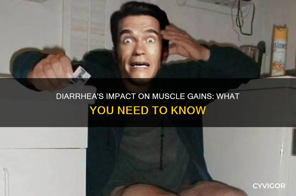 Diarrhea's Impact On Muscle Gains: What You Need To Know | CyVigor