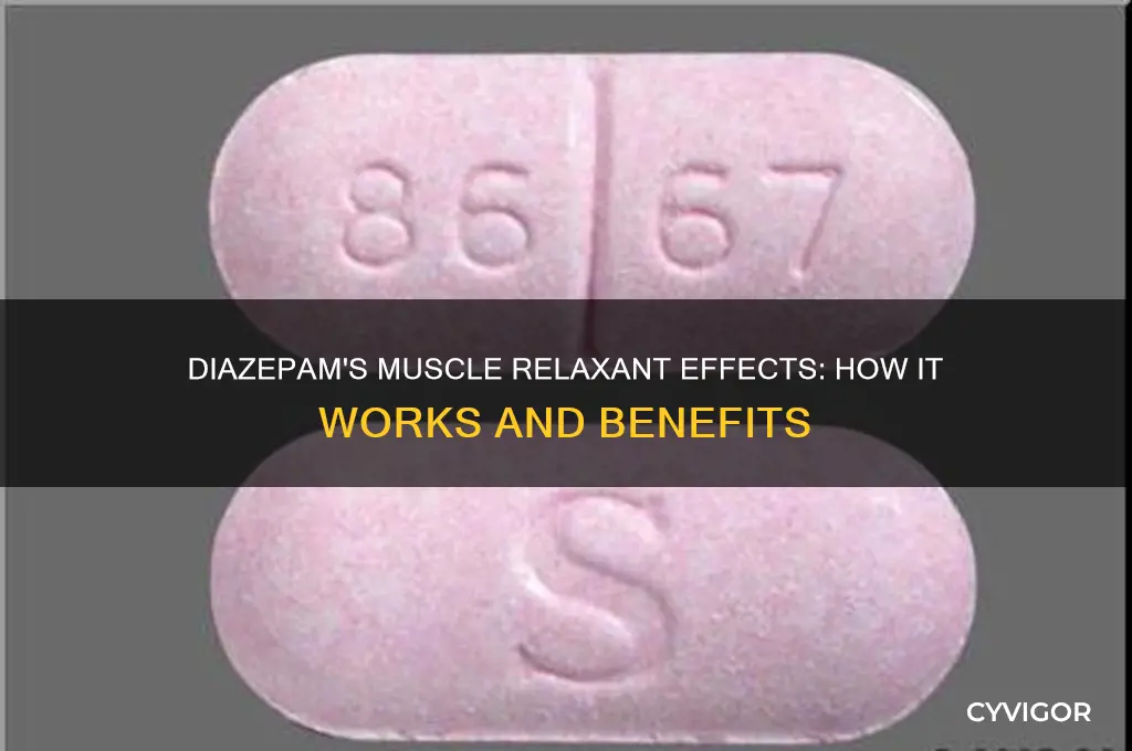Diazepam's Muscle Relaxant Effects: How It Works And Benefits | CyVigor