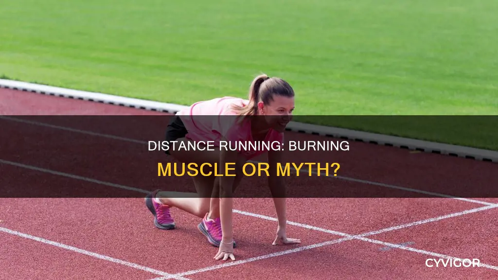 Distance Running: Burning Muscle Or Myth? | CyVigor
