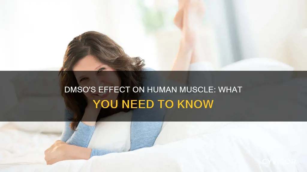 Dmso's Effect On Human Muscle: What You Need To Know | CyVigor