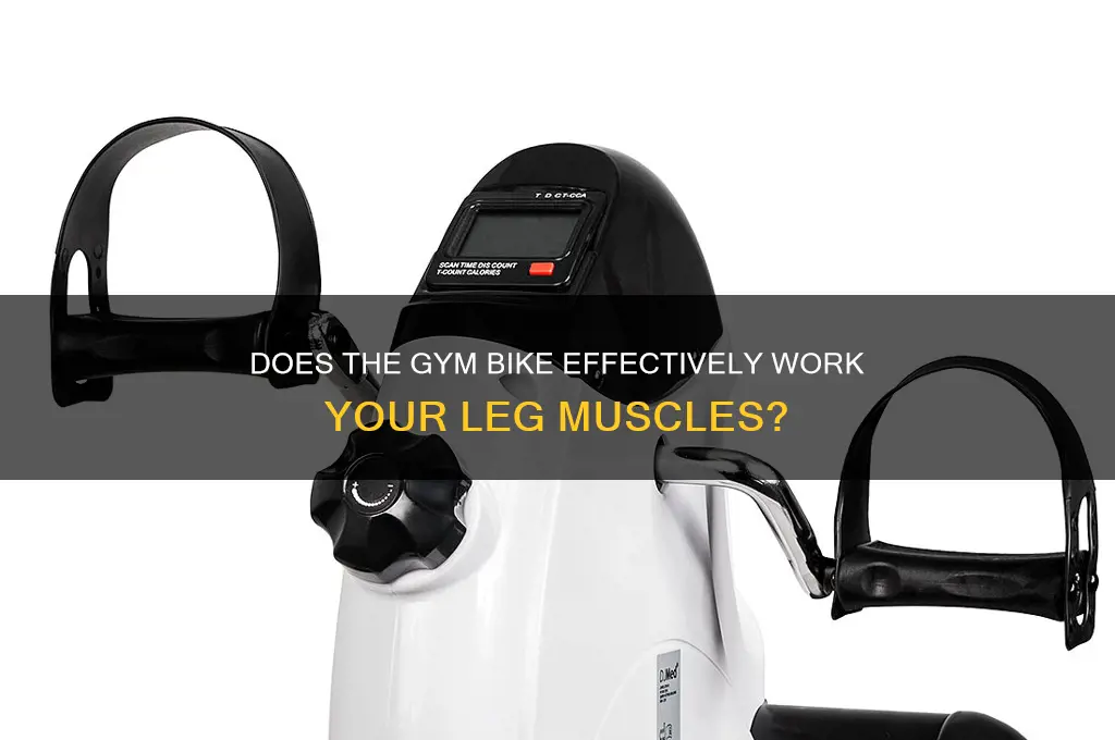 Does The Gym Bike Effectively Work Your Leg Muscles? | CyVigor