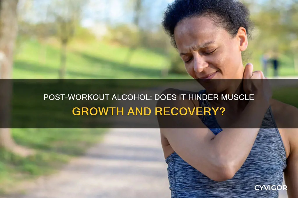 Post-Workout Alcohol: Does It Hinder Muscle Growth And Recovery? | CyVigor