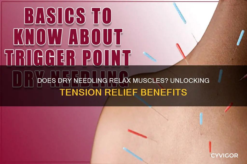 Does Dry Needling Relax Muscles? Unlocking Tension Relief Benefits ...