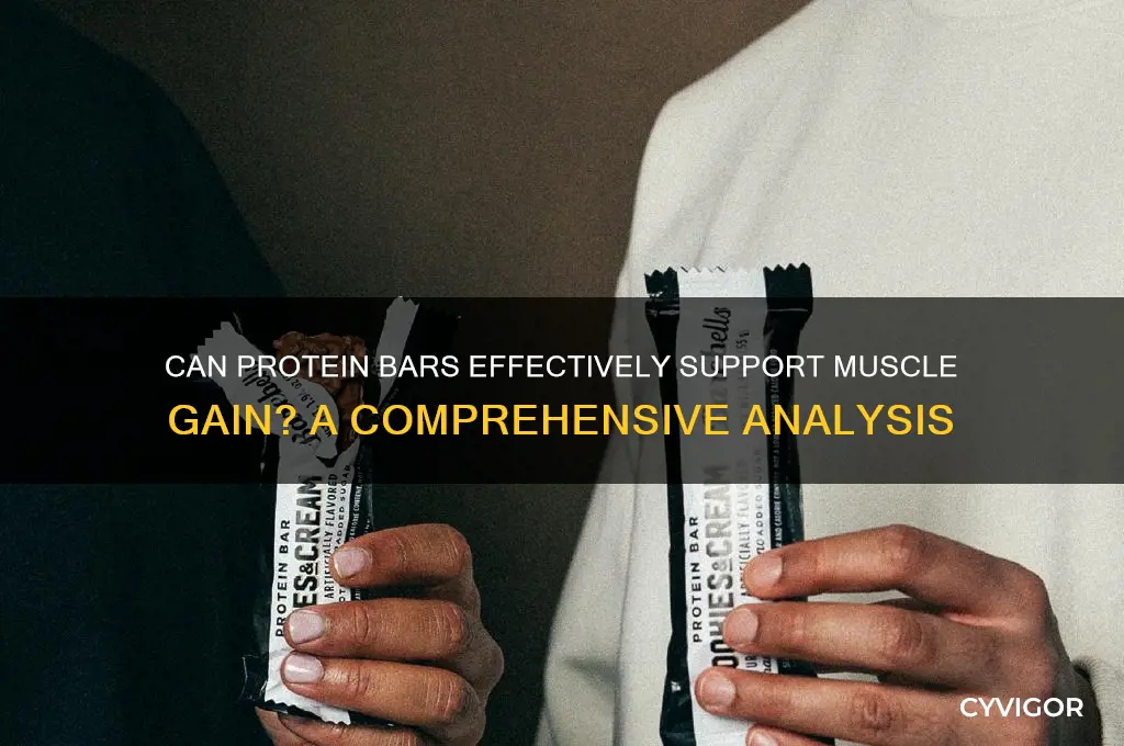 Can Protein Bars Effectively Support Muscle Gain? A Comprehensive ...