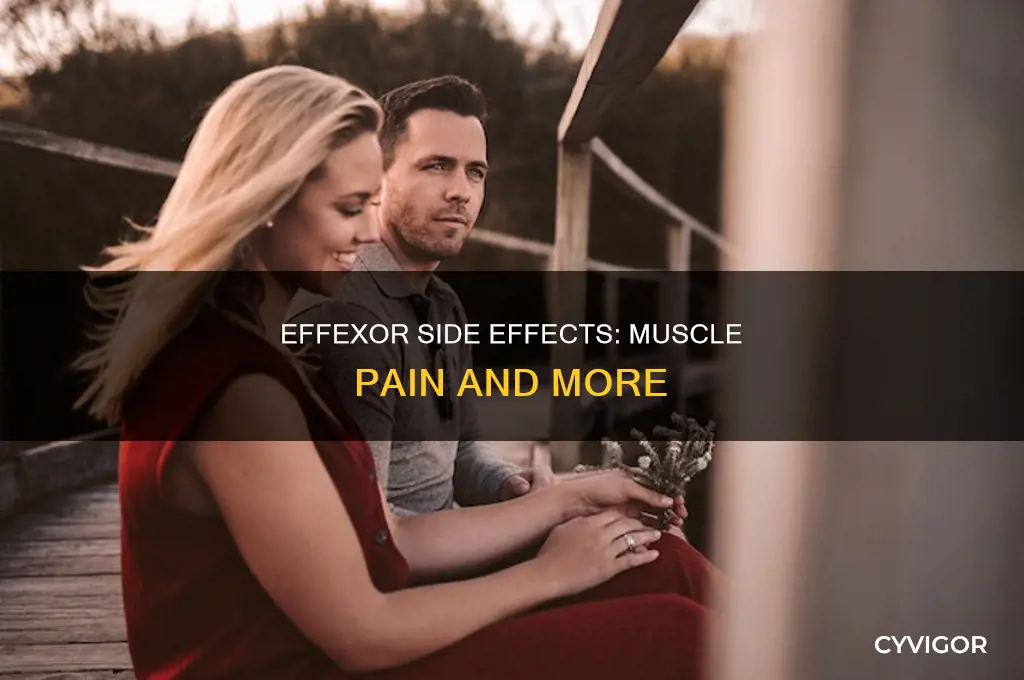 Effexor Side Effects: Muscle Pain And More | CyVigor